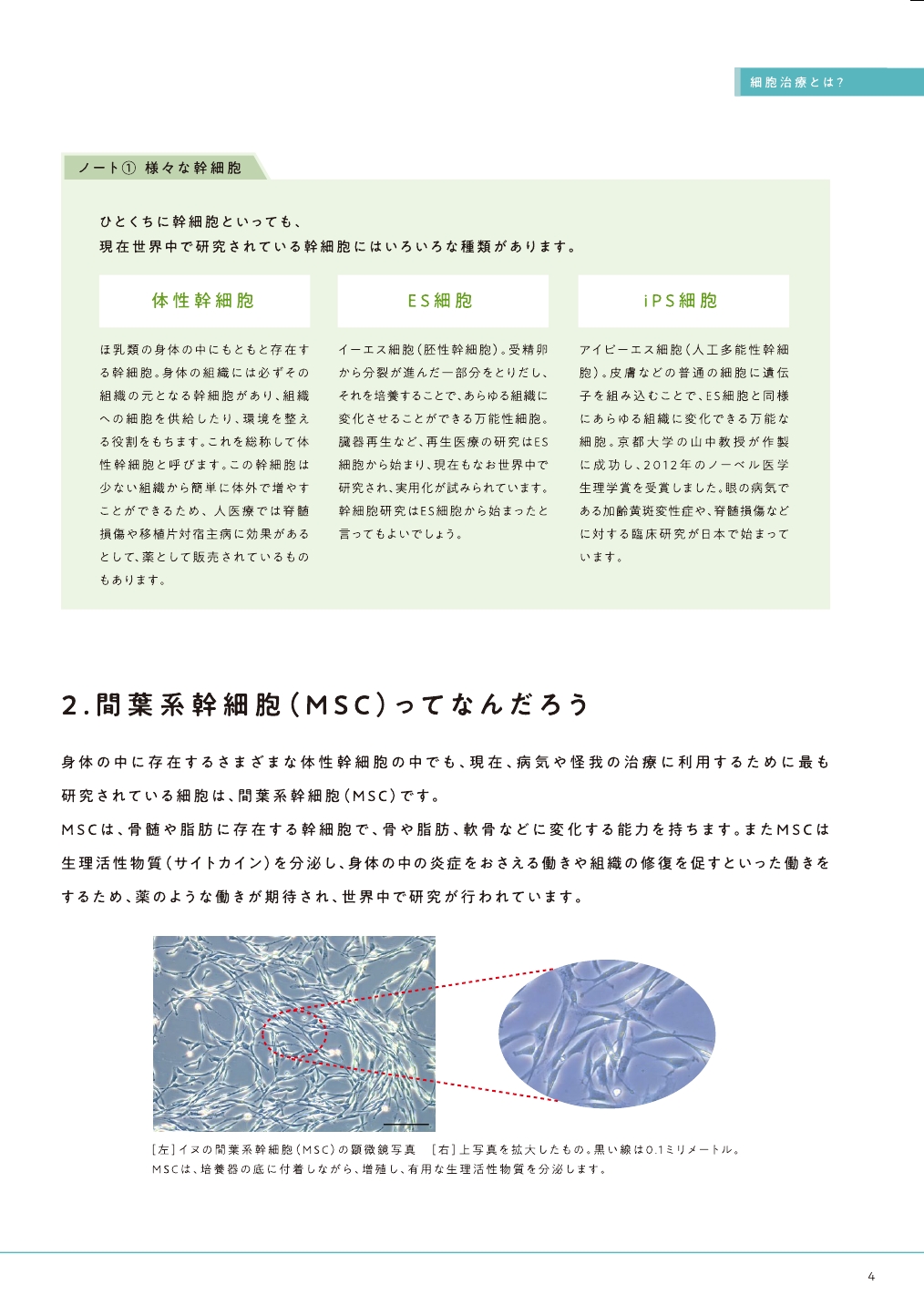 Your browser does not support Javascript